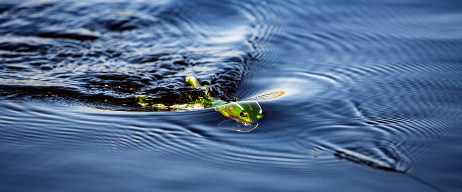 Rugged Tackle -One Stop Fishing Destination